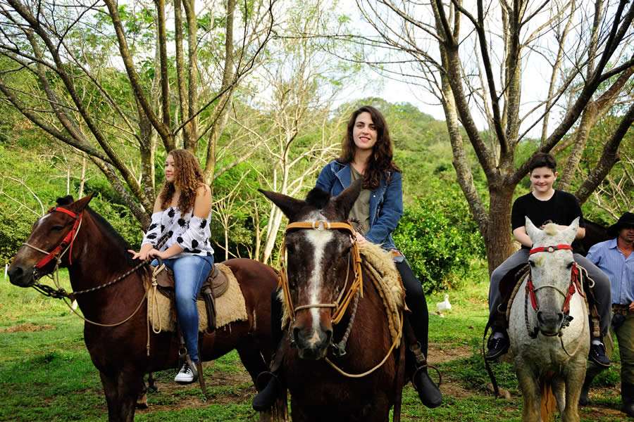 Passeio a Cavalo - Loja Exemplo Passeio a Cavalo - Loja Exemplo